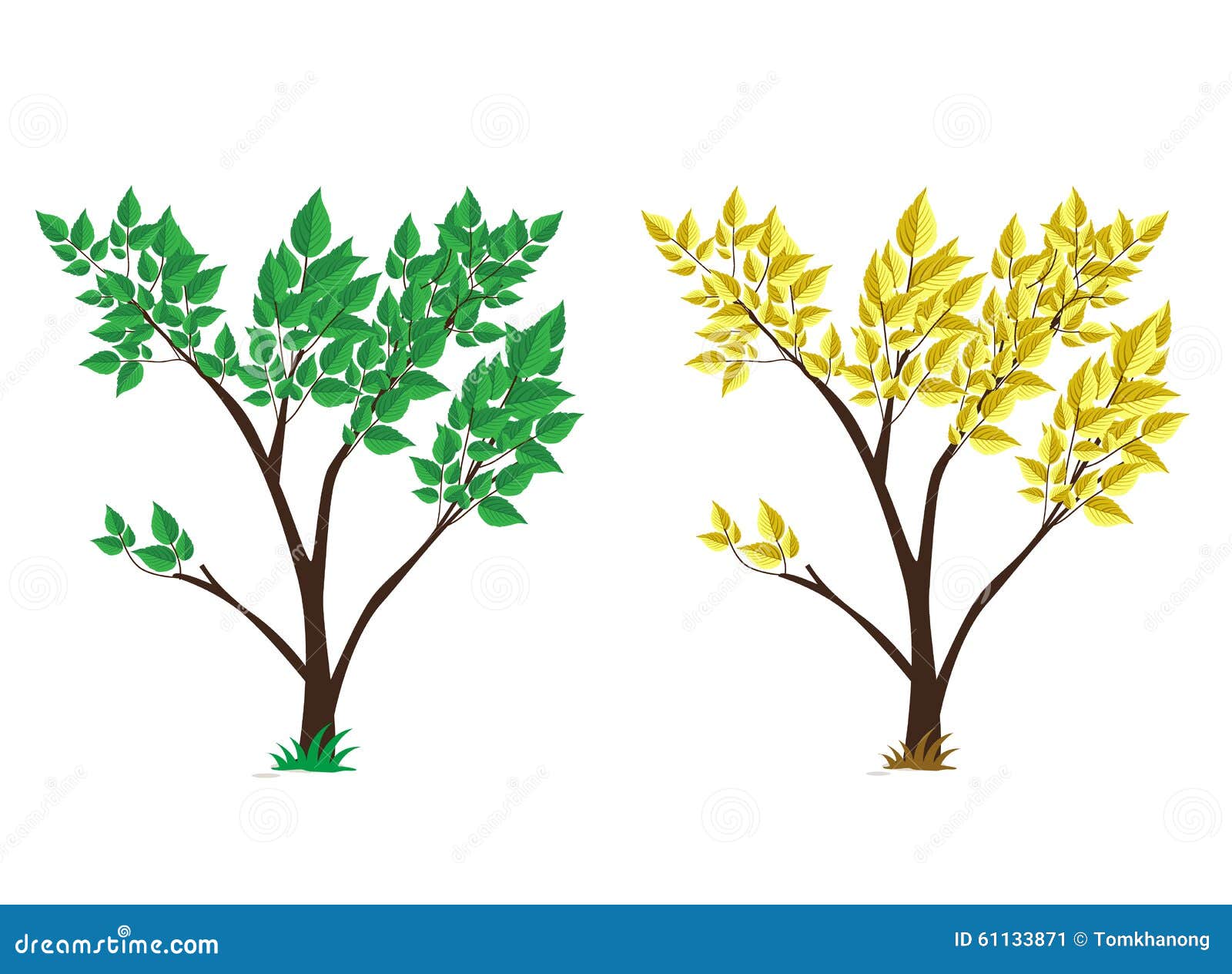 Tree Green and Yellow Set Vector Design Stock Vector - Illustration of ...