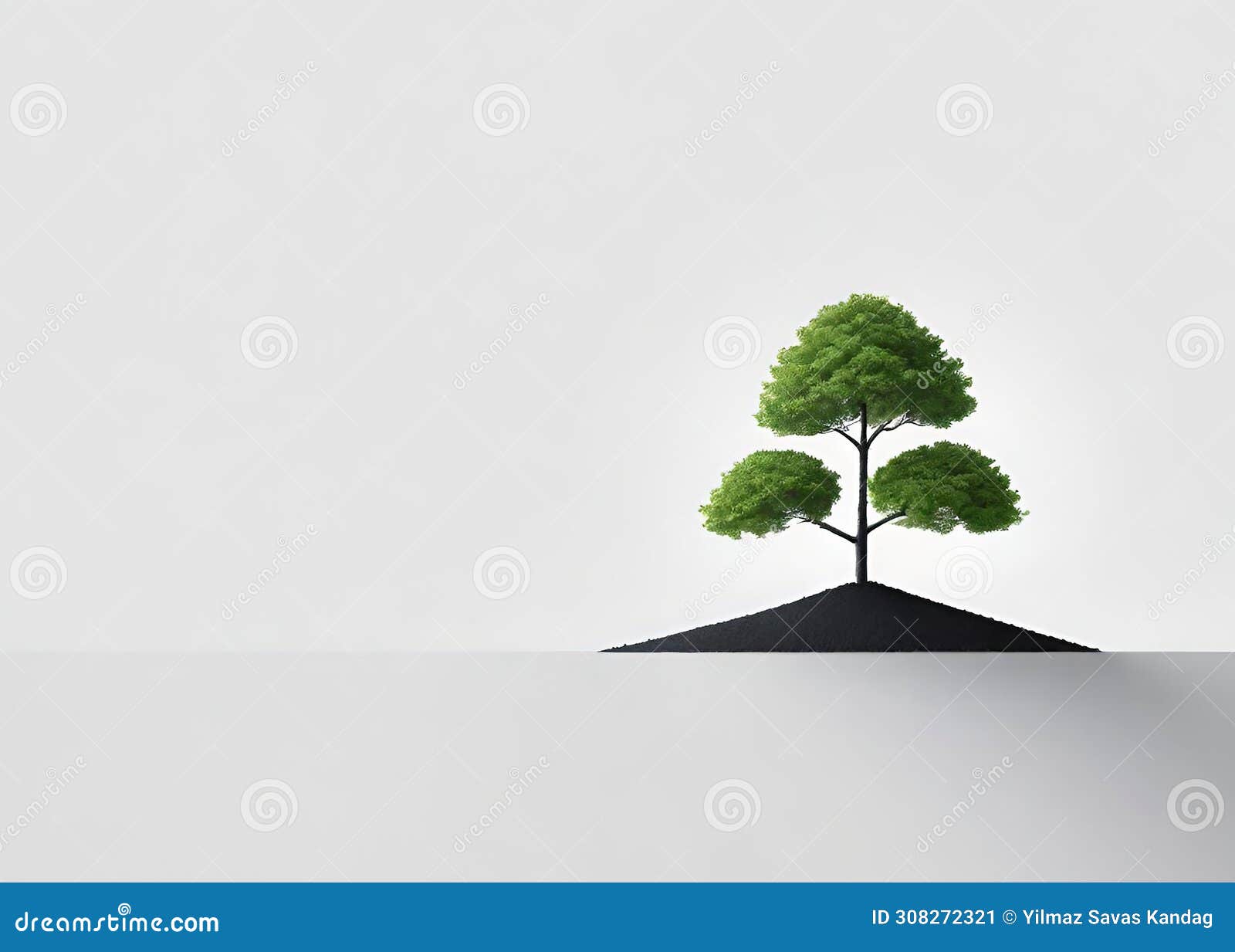 Nature Concept.Tree in the Ground As a Symbol of Nature Stock ...