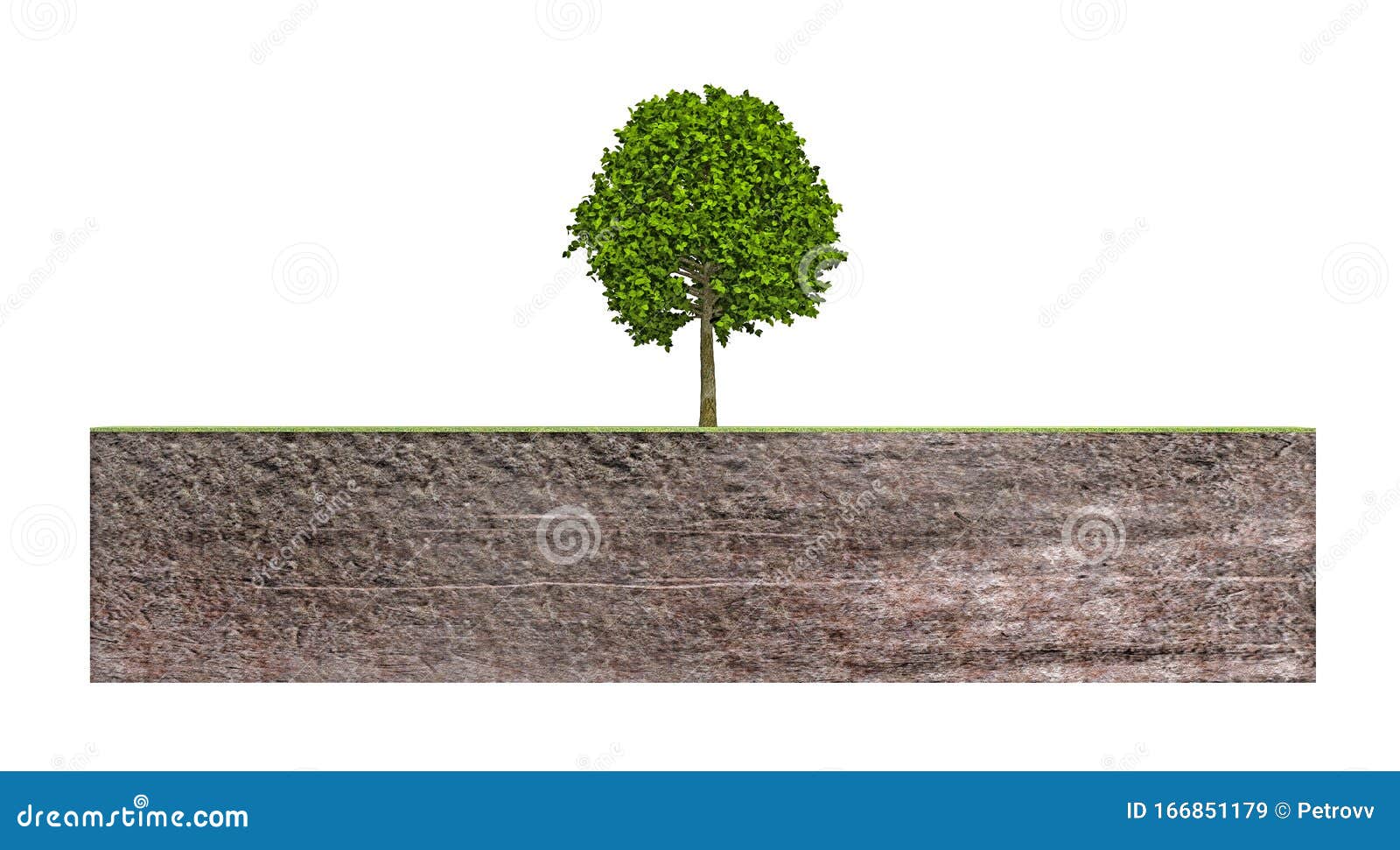 Tree on ground sectional stock illustration. Illustration of tree ...