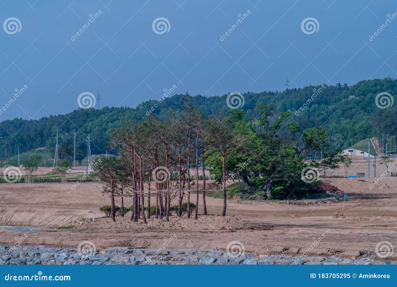Tree Groves at Construction Site Stock Image - Image of nature ...