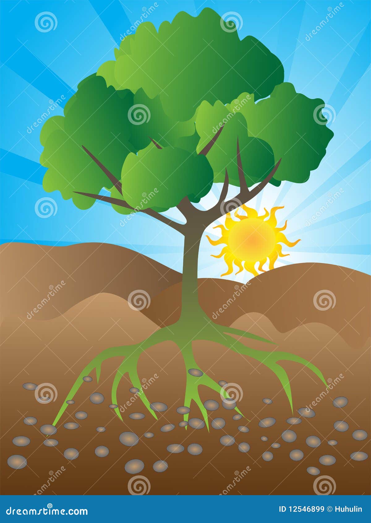 Tree growing stock vector. Illustration of ground, graphic - 12546899