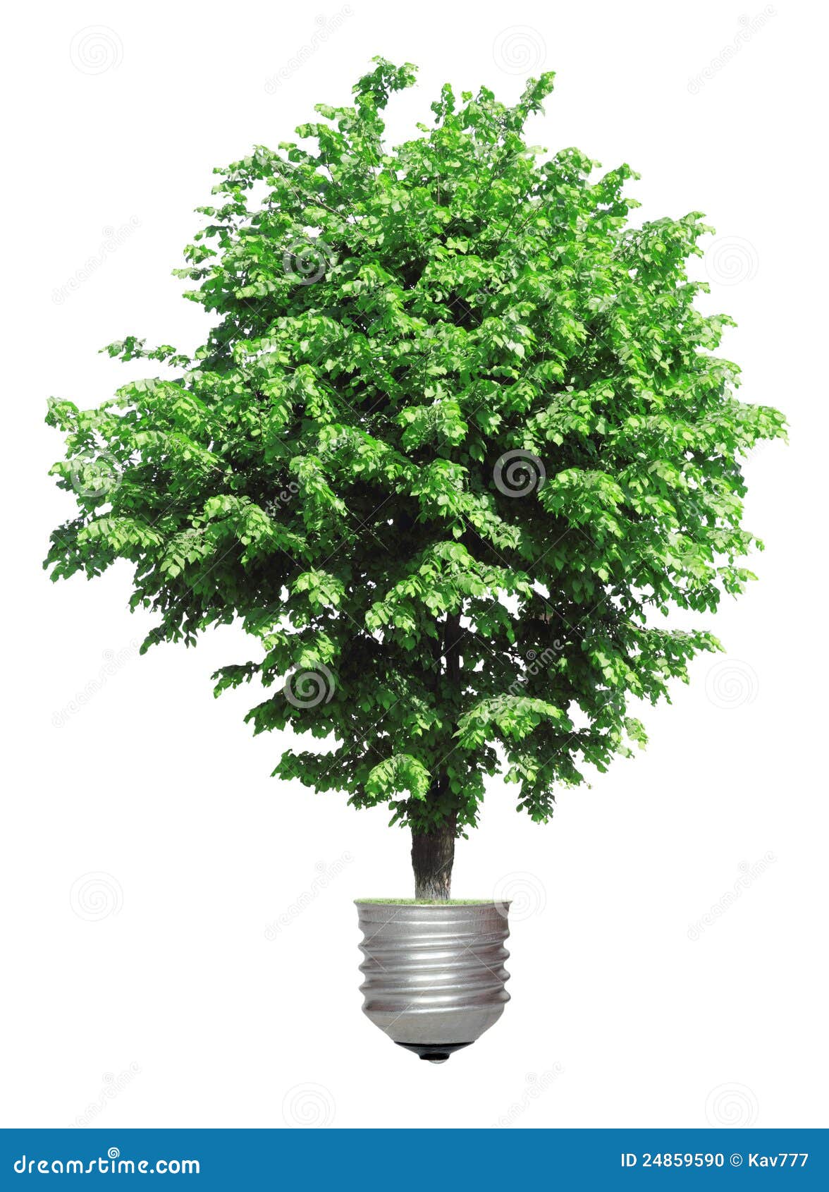 Tree Growing from the Base of the Light Bulb Stock Photo - Image of ...