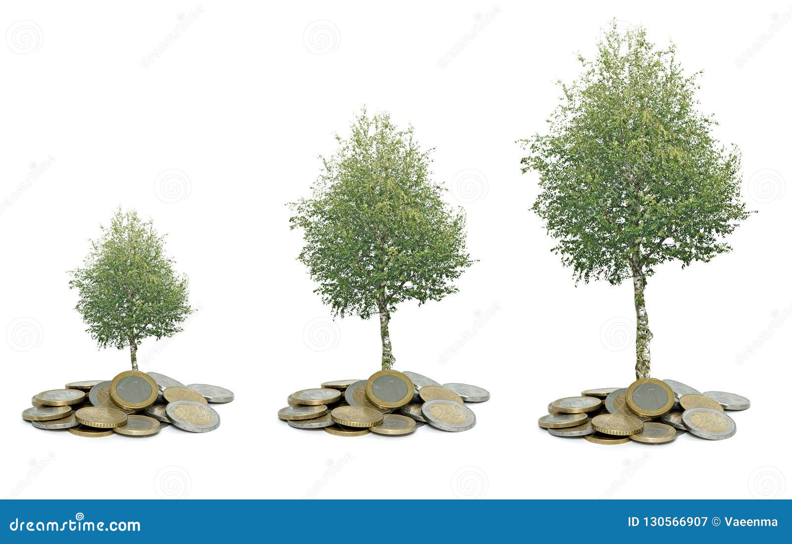 Tree growing from coins stock image. Image of economy - 130566907