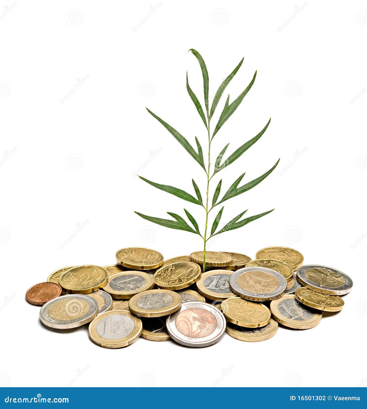 Tree growing from coins stock photo. Image of plant, ecology - 16501302