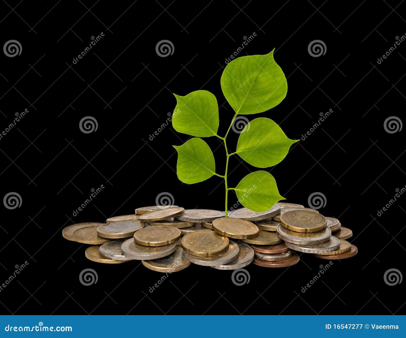 Tree growing from coins stock image. Image of close, ecology - 16547277