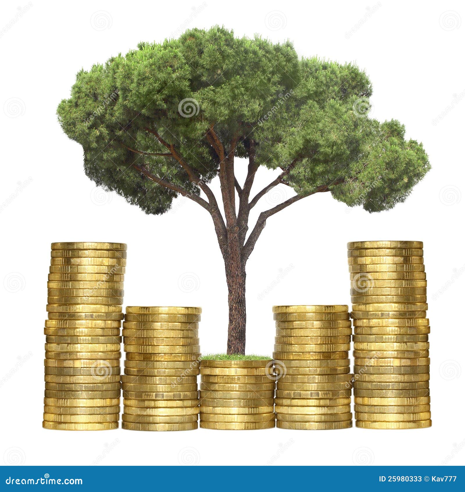 Tree growing from coins stock image. Image of gold, needle - 25980333