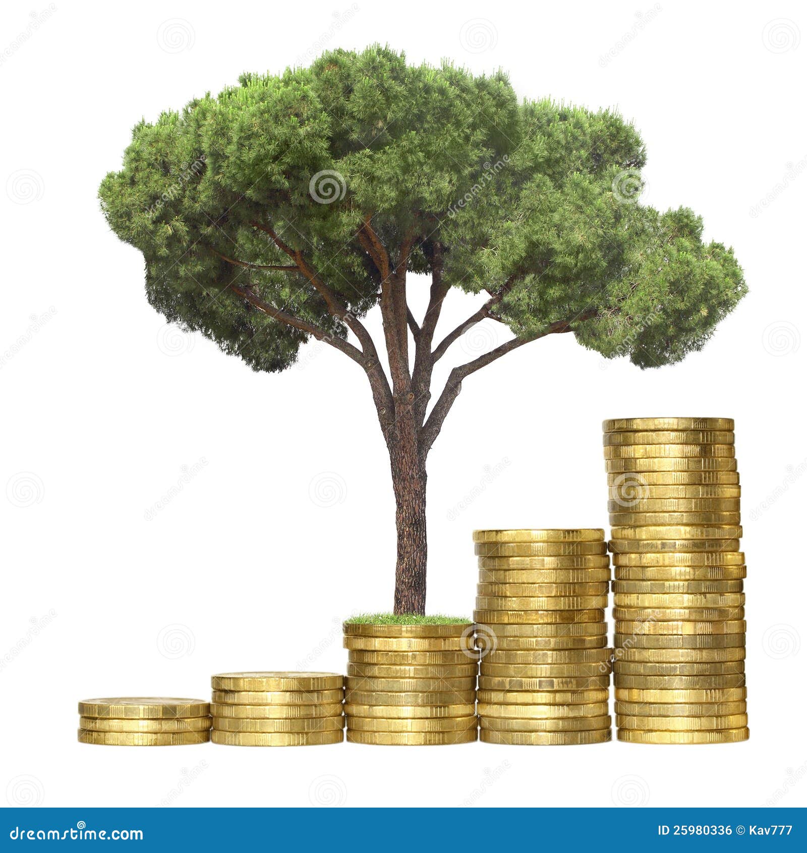 Tree growing from coins stock photo. Image of nature - 25980336
