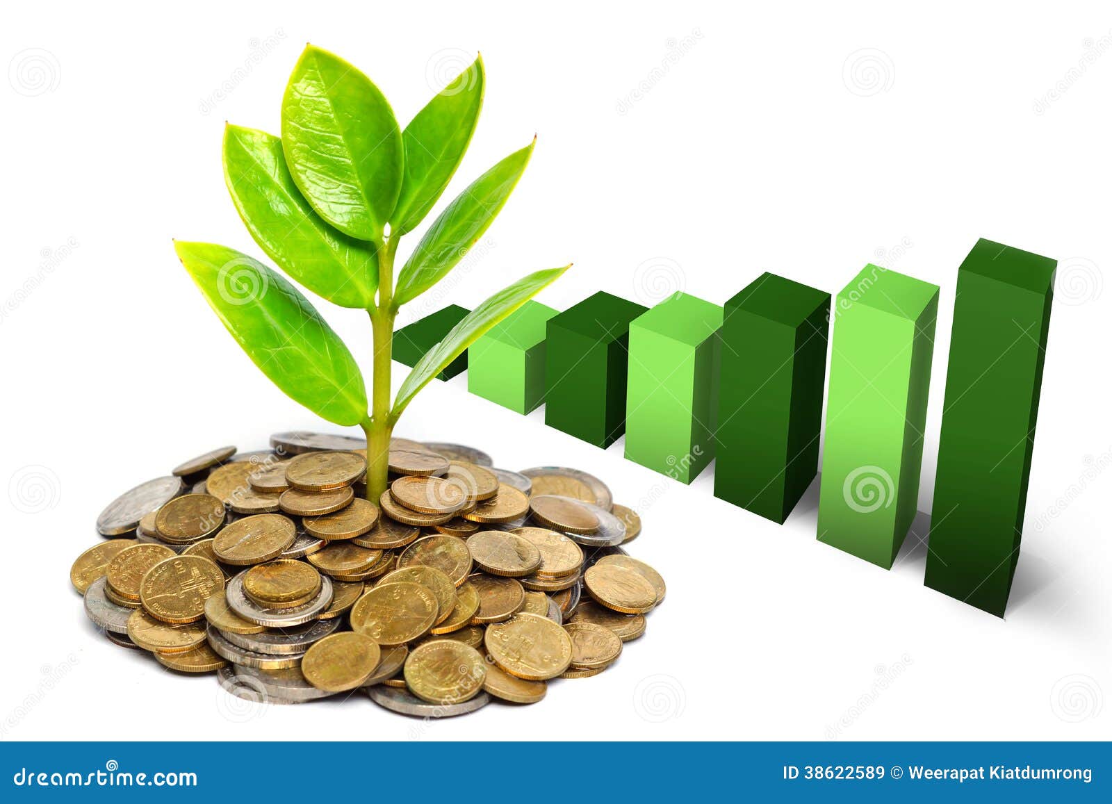Tree growing on coins stock image. Image of graph, growing - 38622589