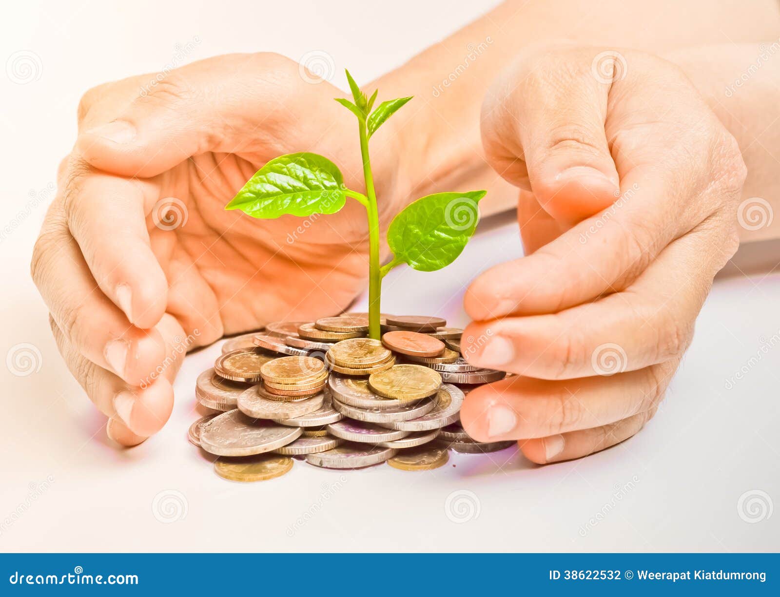 Tree growing on coins stock photo. Image of hands, economic - 38622532