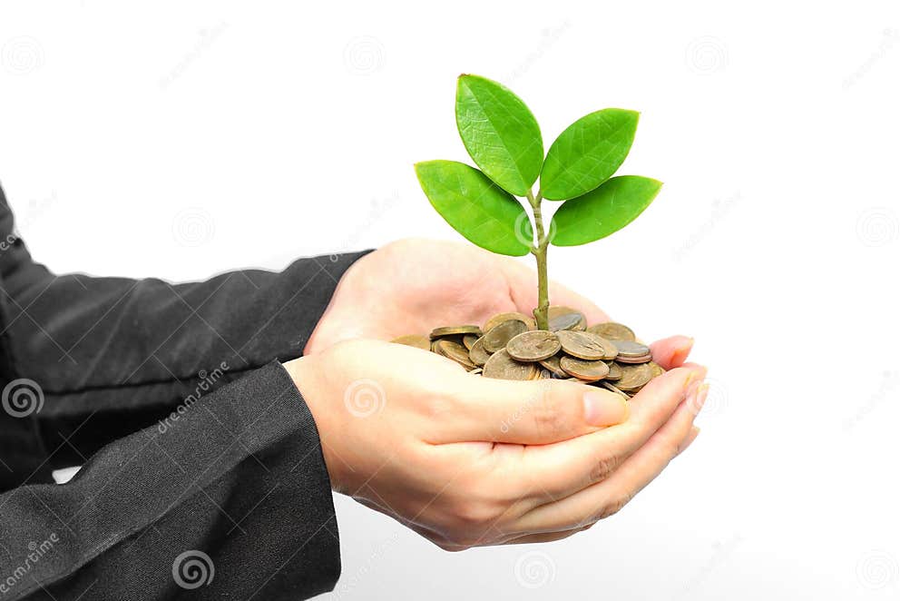 Tree growing on coins stock image. Image of grow, background - 38623389