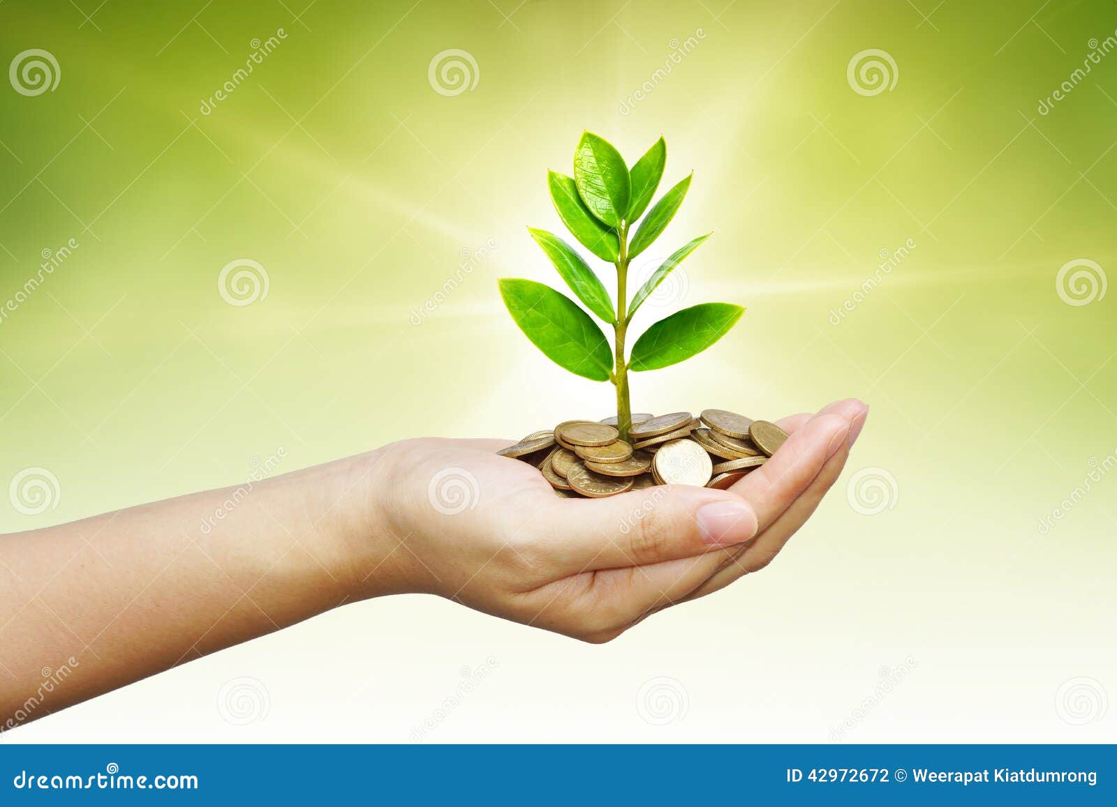 Tree growing on coins stock photo. Image of growing, ground - 42972672