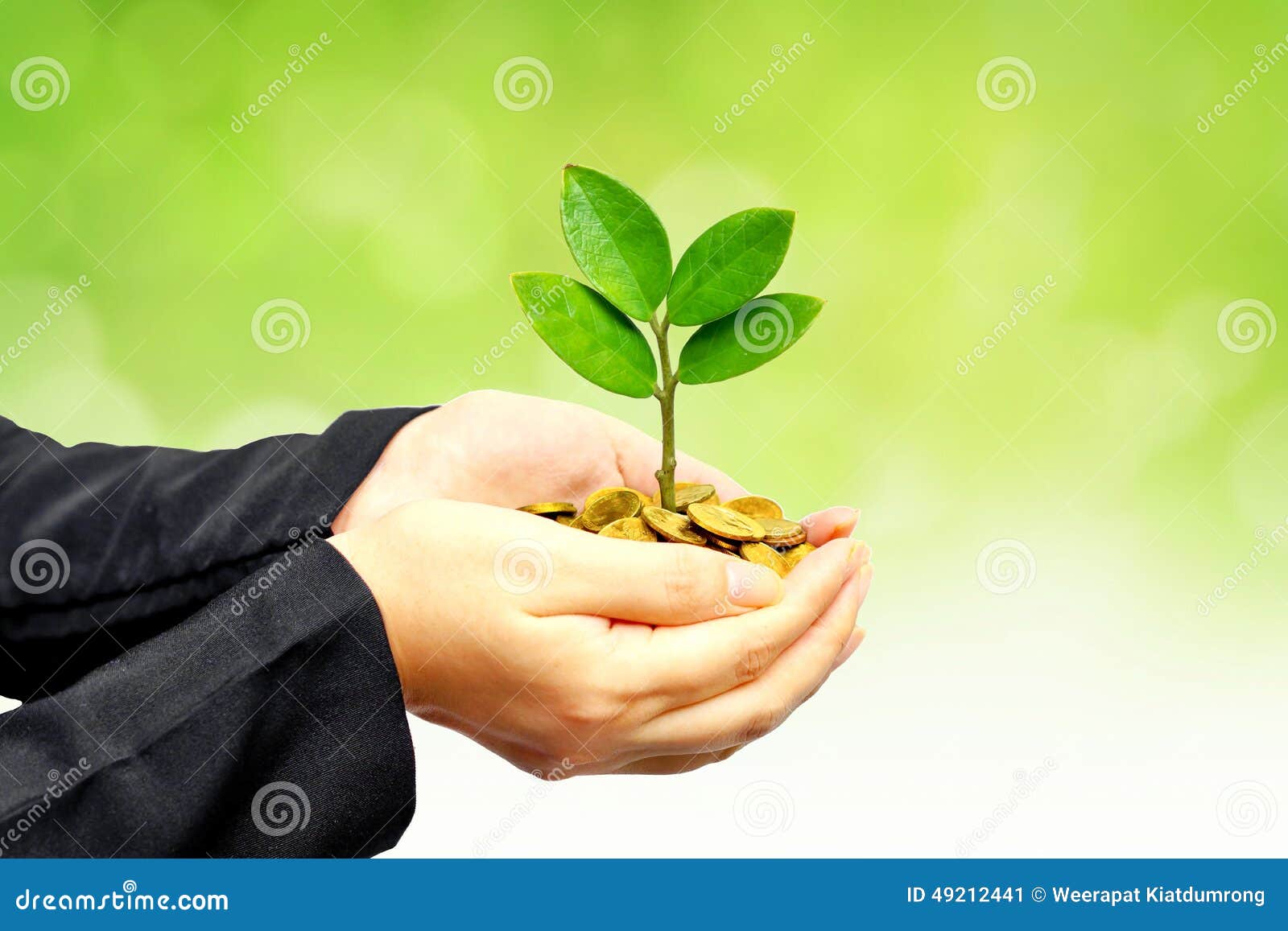 Tree growing on coins stock image. Image of green, level - 49212441
