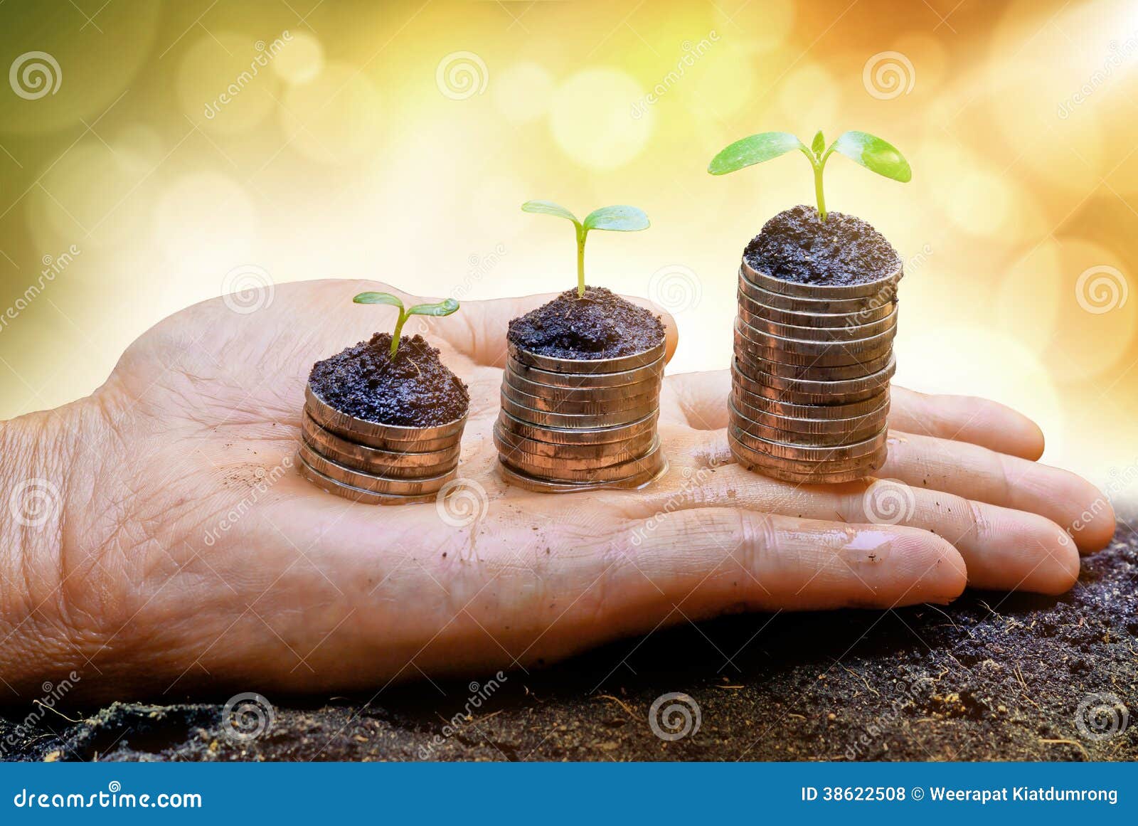 Tree growing on coins stock photo. Image of governance - 38622508