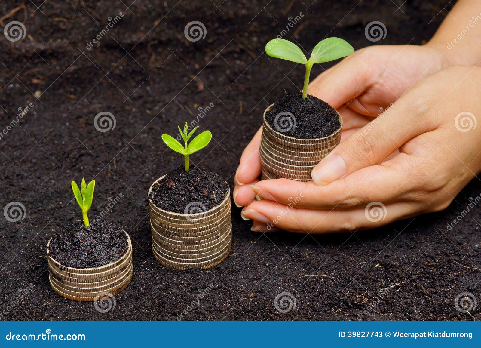 Tree growing on coins stock image. Image of environmentally - 39827743