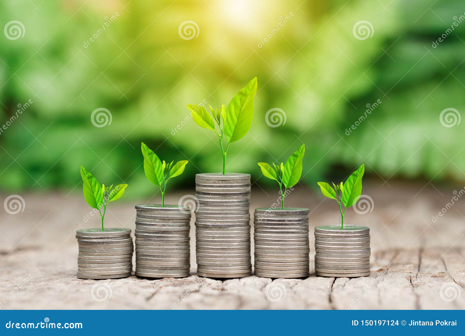 Tree Growing on Coins Stack for Saving Money Concept Stock Photo ...