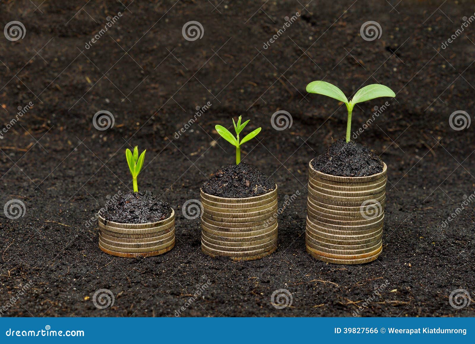 Tree growing on coins stock photo. Image of economy, green - 39827566