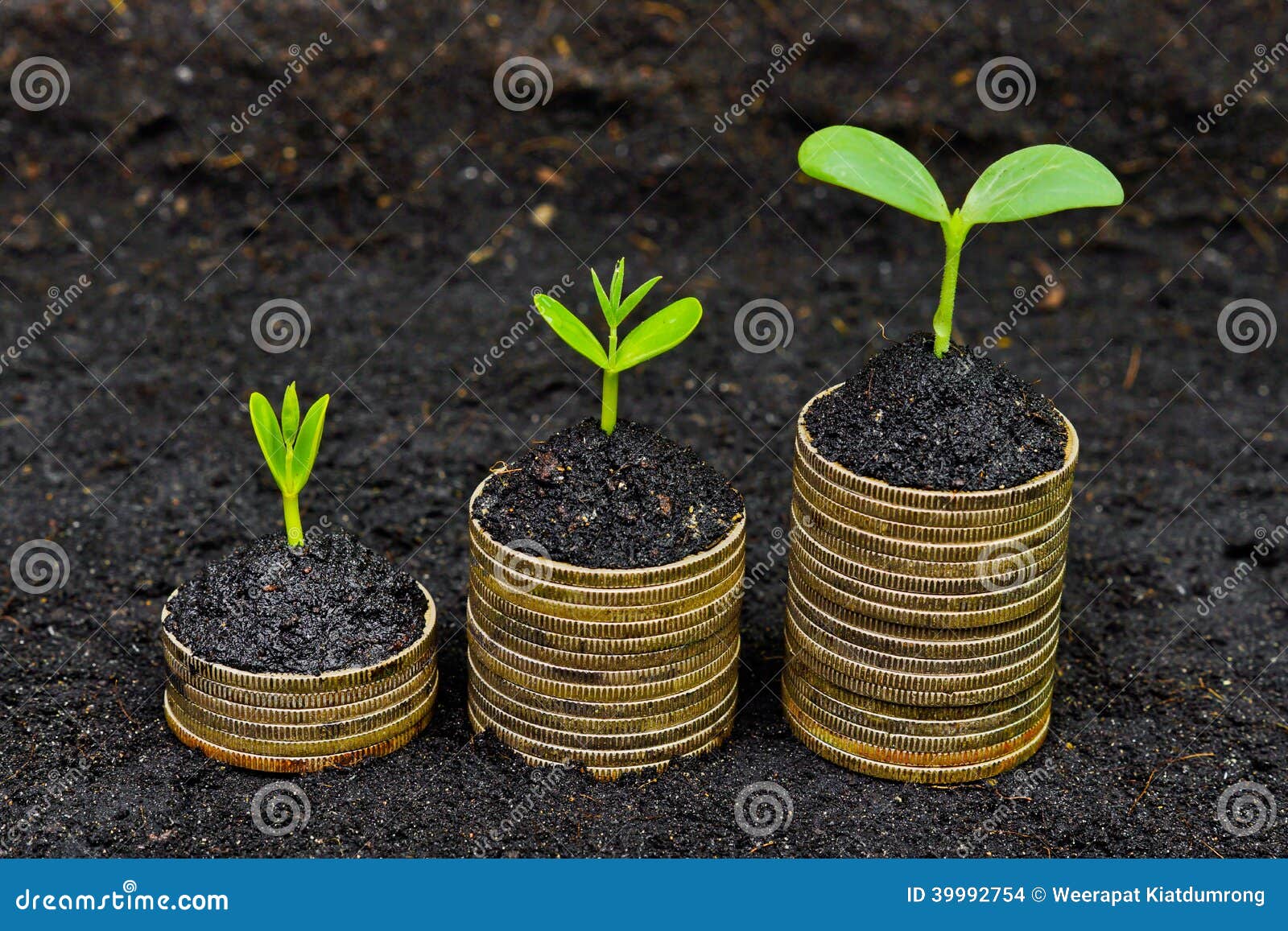 Tree growing on coins stock photo. Image of hand, economic - 39992754