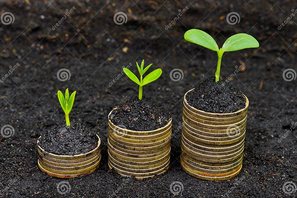 Tree growing on coins stock photo. Image of hand, economic - 39992754