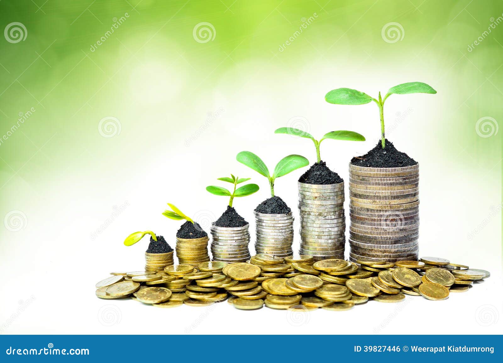 Tree growing on coins stock photo. Image of foundation - 39827446