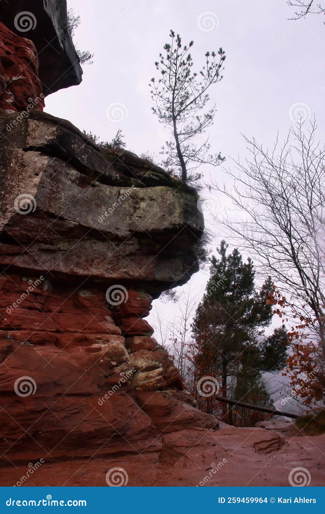 Tree Growing on Rock Formation Stock Photo - Image of mountain, autumn ...