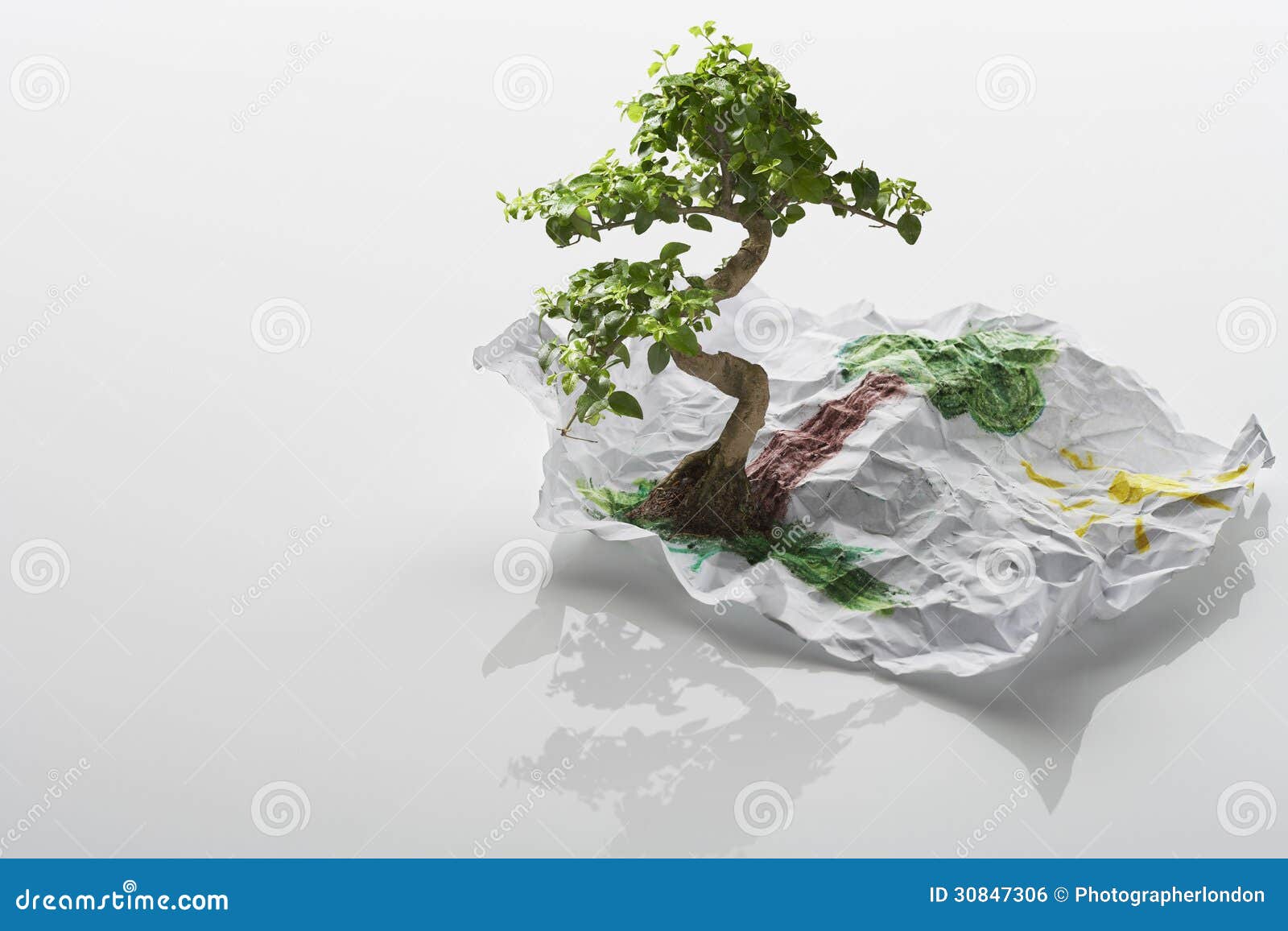 Tree Growing from Drawing stock photo. Image of drawings - 30847306