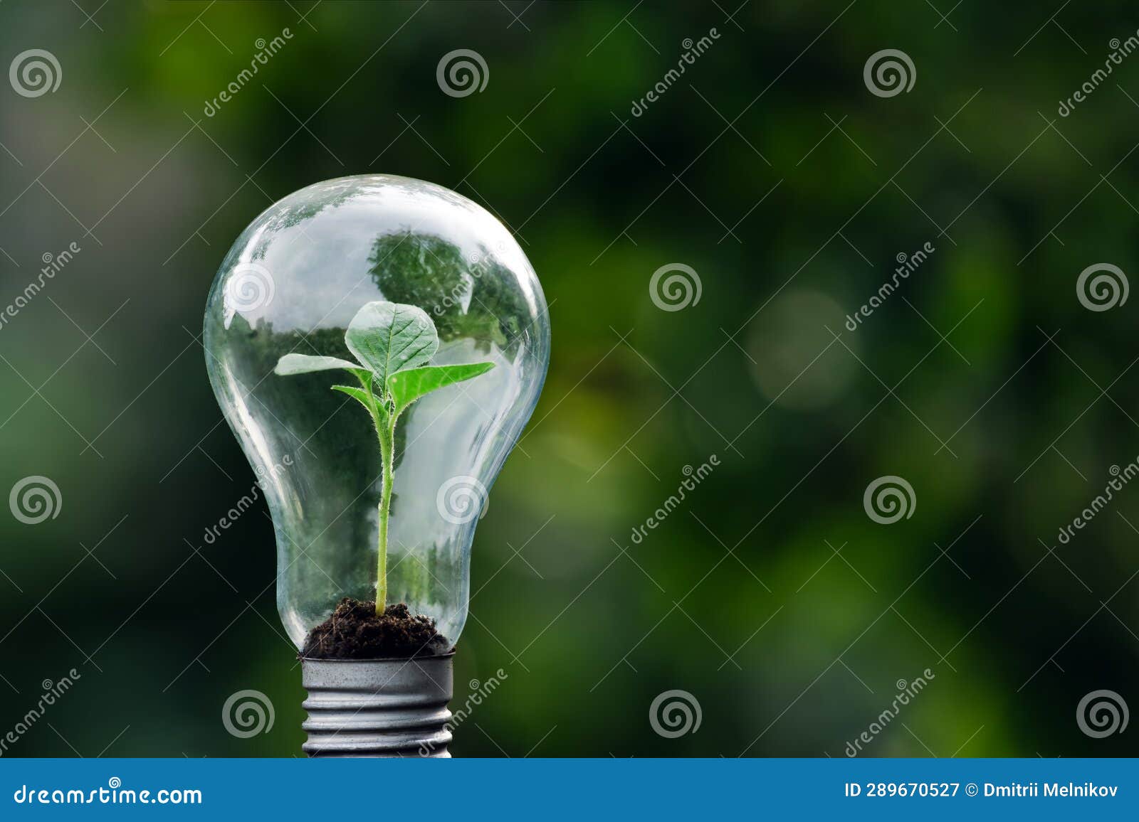 A Tree Growing in an Energy Efficient Light Bulb, the Concept of ...