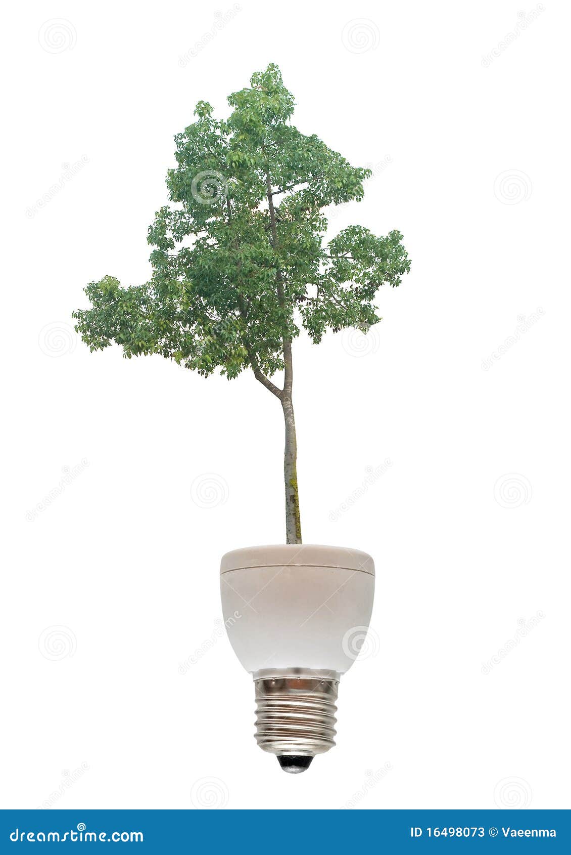 Tree Growing from Fluorescent Lamp Stock Image - Image of close ...
