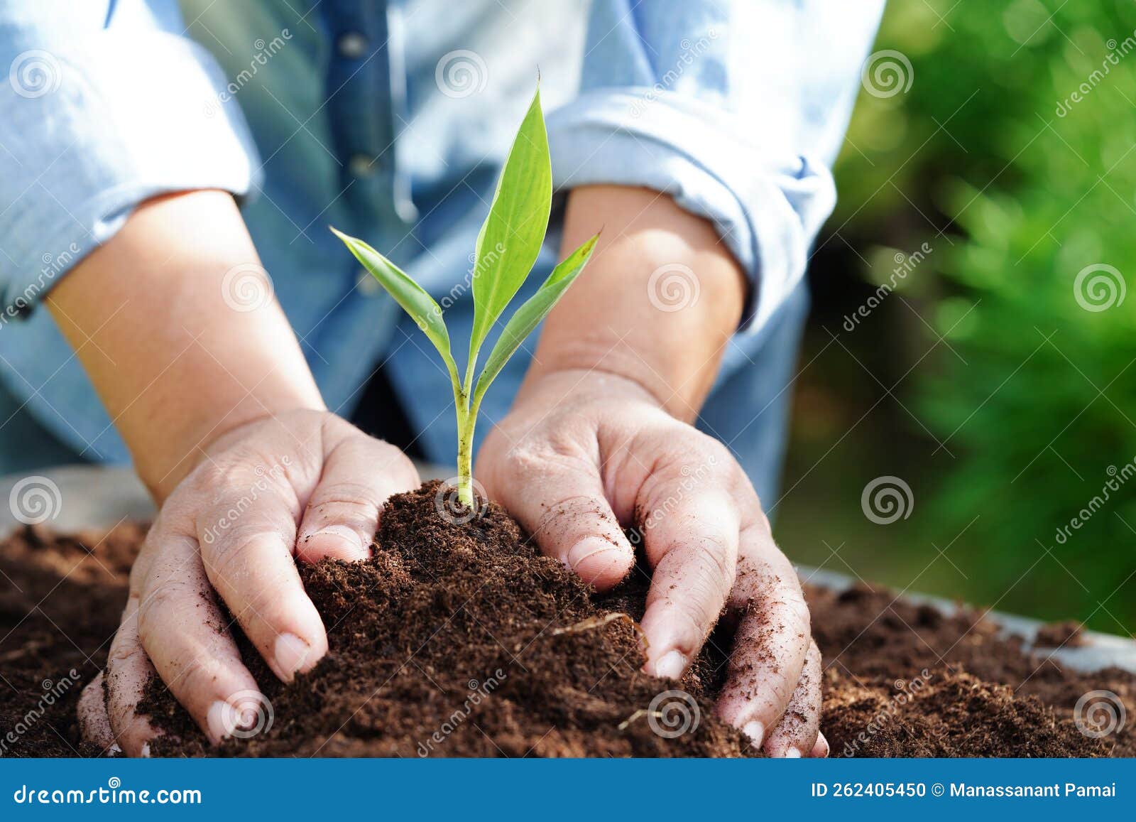 Tree Growing with Hand, Eco Earth Day, Save World, Save Earth, Go Green ...