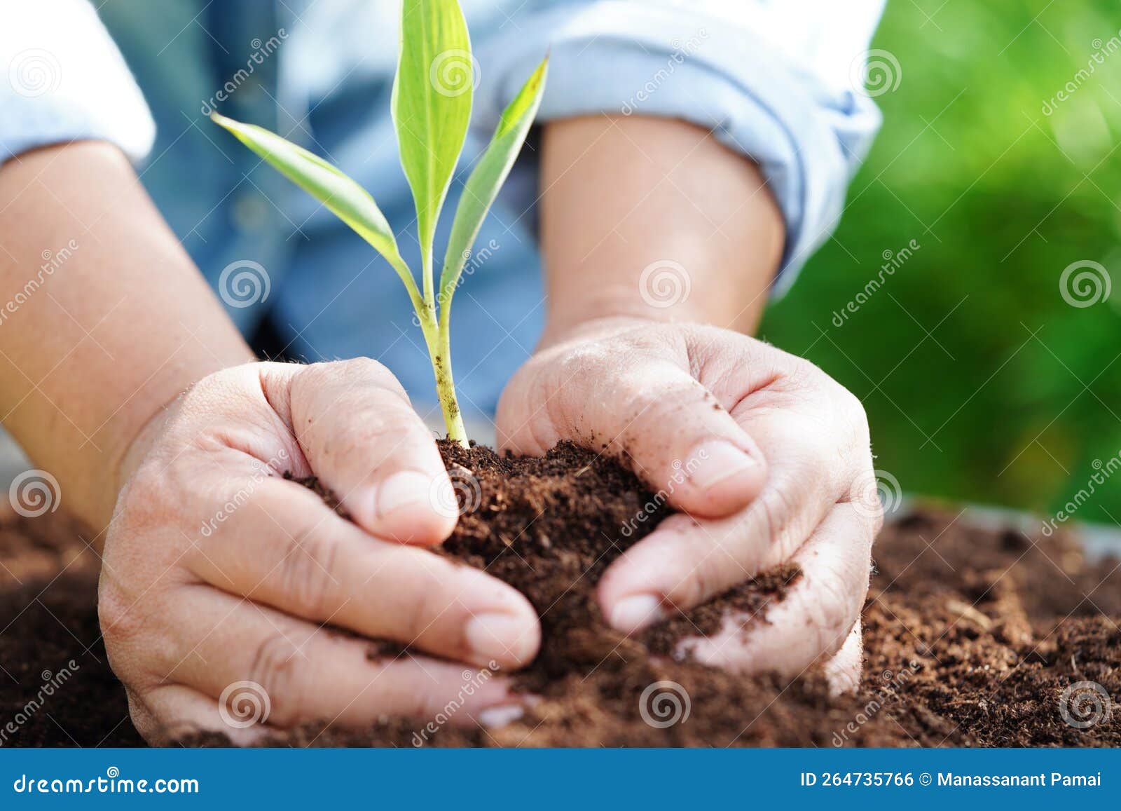 Tree Growing with Hand, Eco Earth Day, Save World, Save Earth, Go Green ...