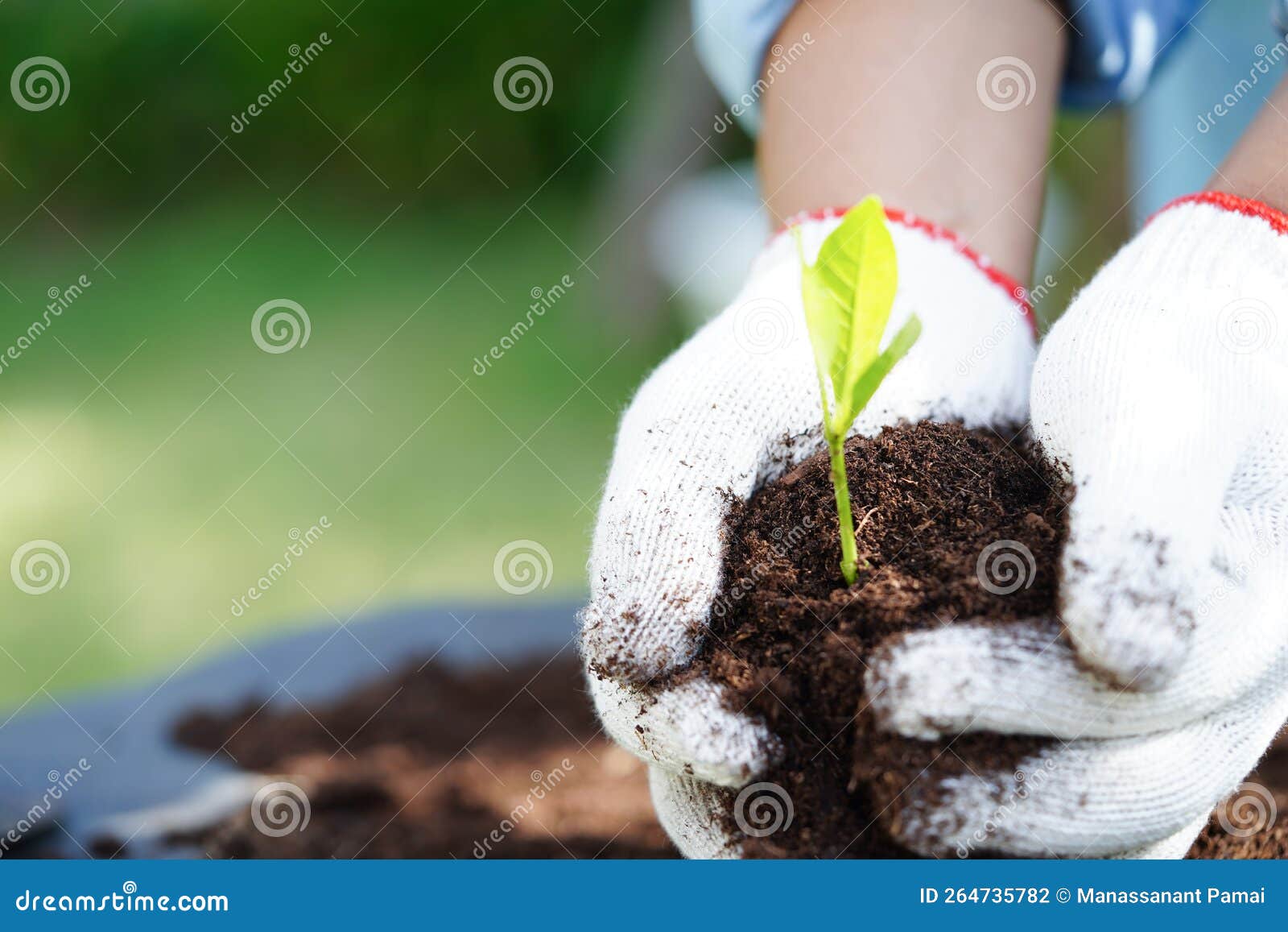 Tree Growing with Hand, Eco Earth Day, Save World, Save Earth, Go Green ...