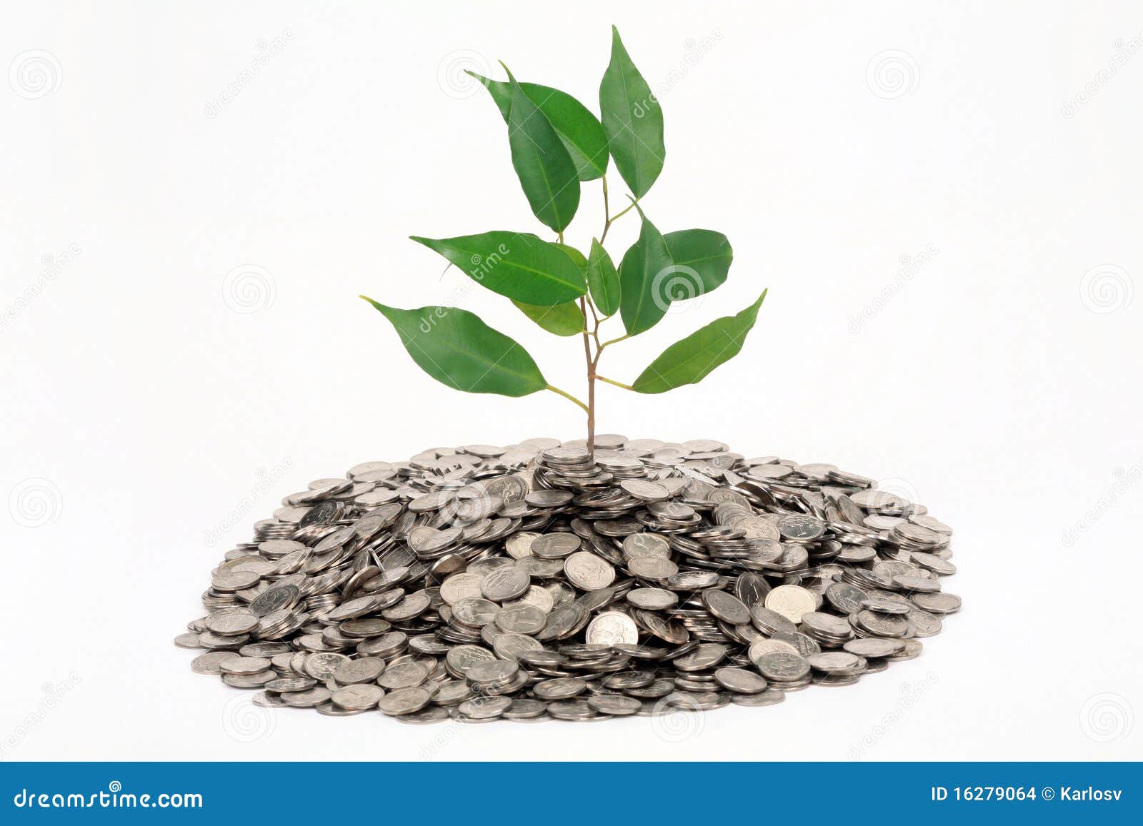 Tree Growing from a Heap of Coin Stock Photo - Image of coin, rich ...