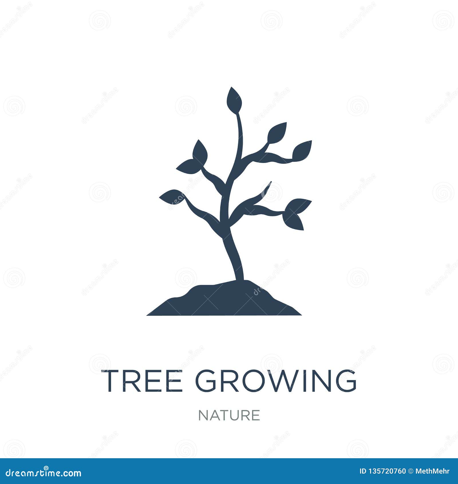 Planting Process Infographic. Growth Stages. Steps Of Plant Grow ...