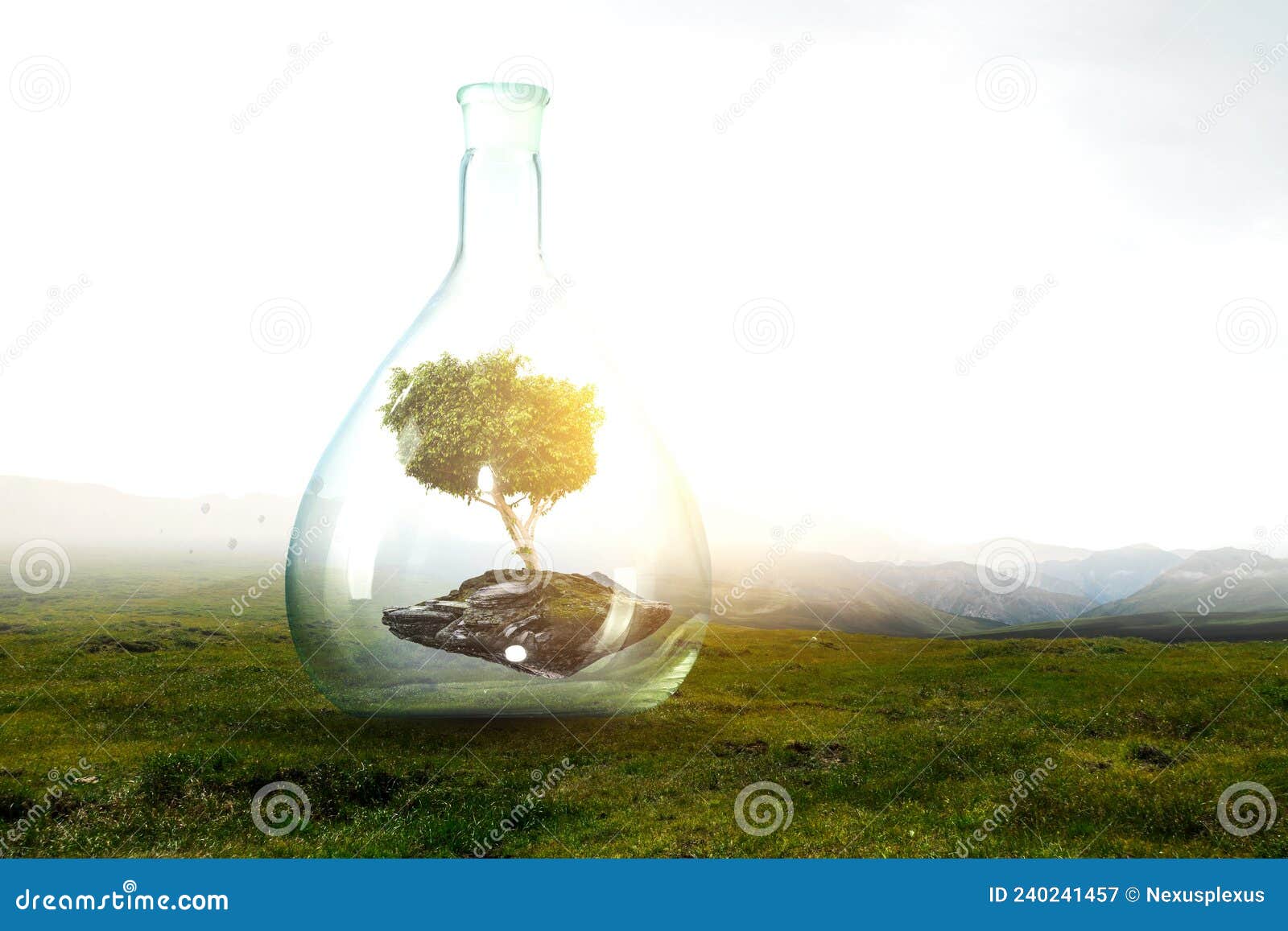 Tree Growing Inside Clear Glass Bottle Stock Image - Image of bottle ...