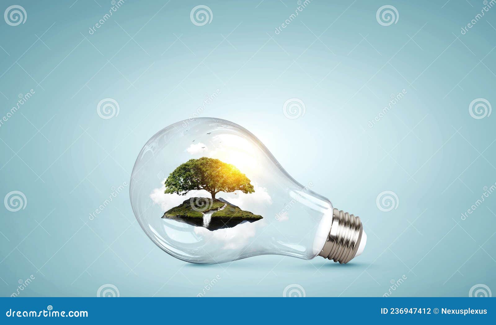 Tree Growing Inside Light Bulb Stock Photo - Image of aqua, power ...