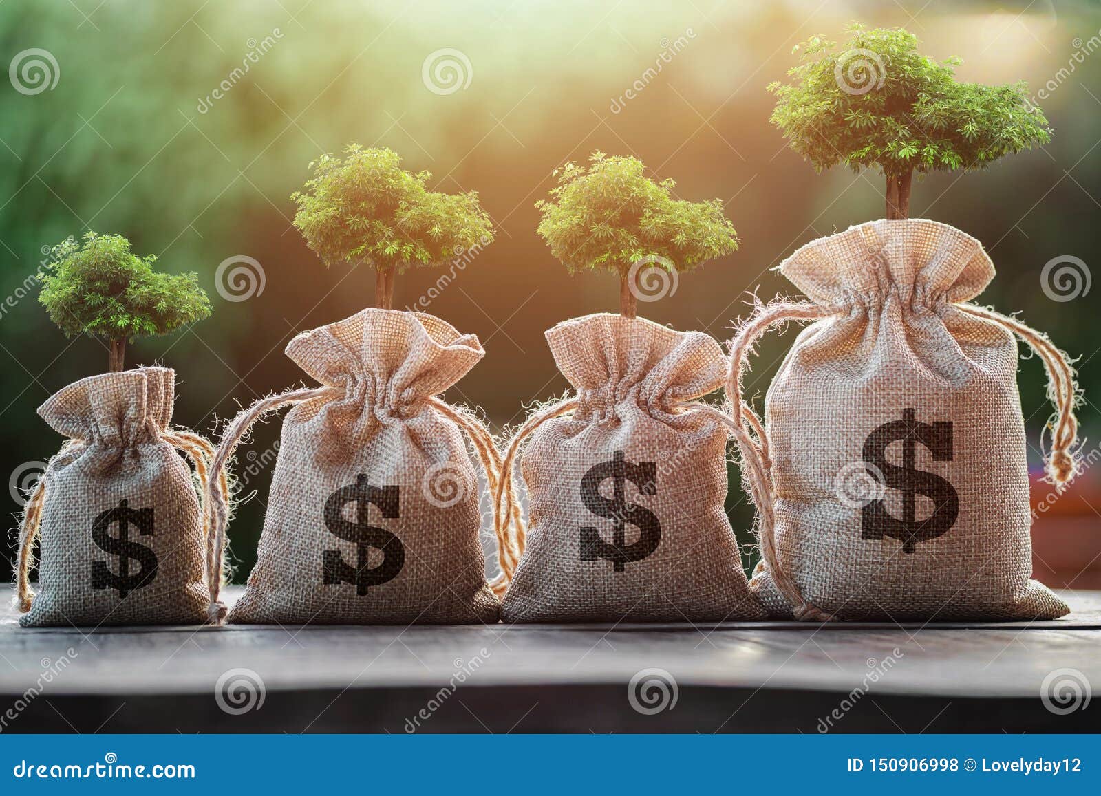 Tree Growing on Money Bag. Concept Saving Stock Photo - Image of ...