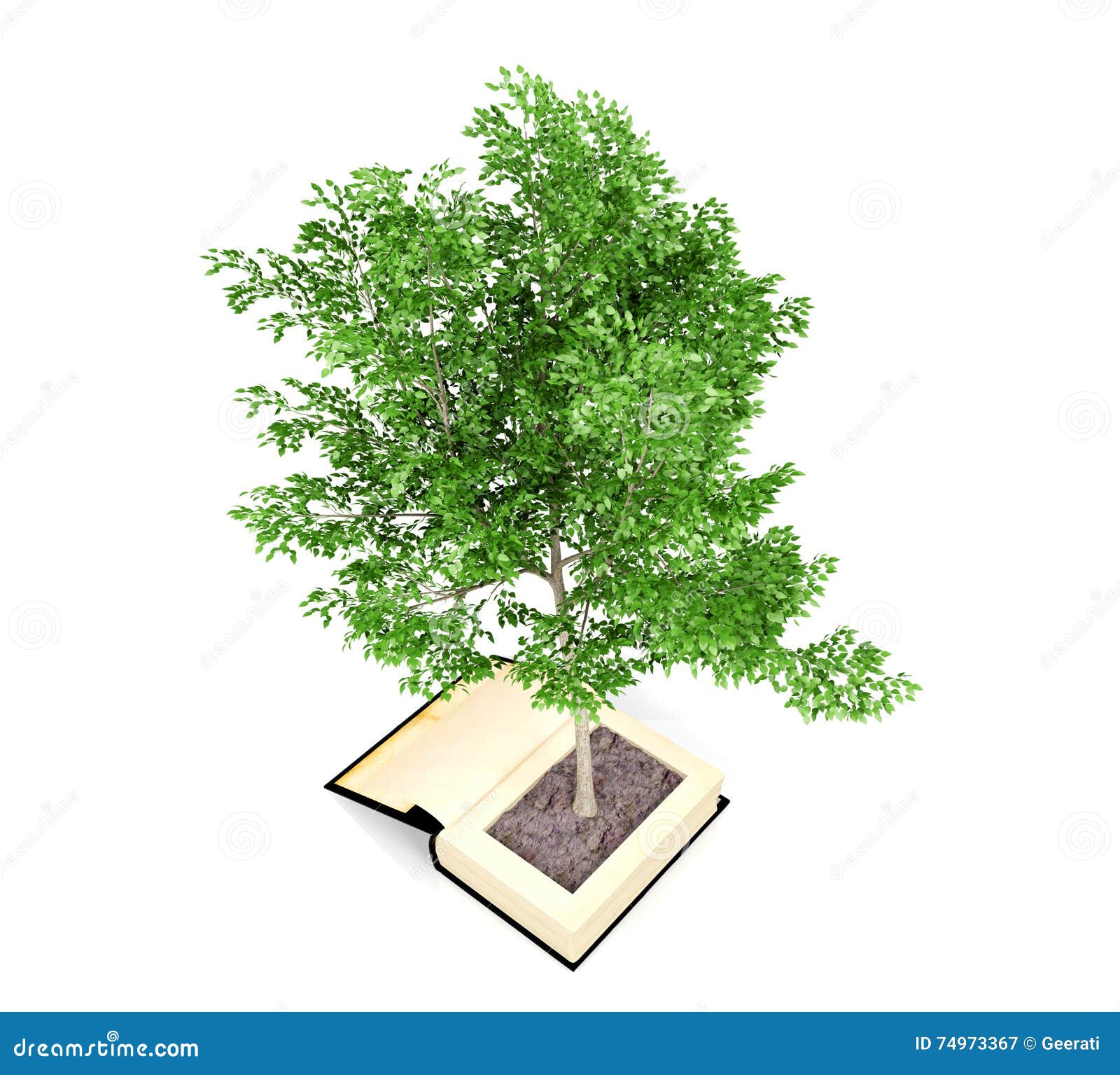 Tree Growing from the Old Book. Knowledge Growth from Education Concept ...