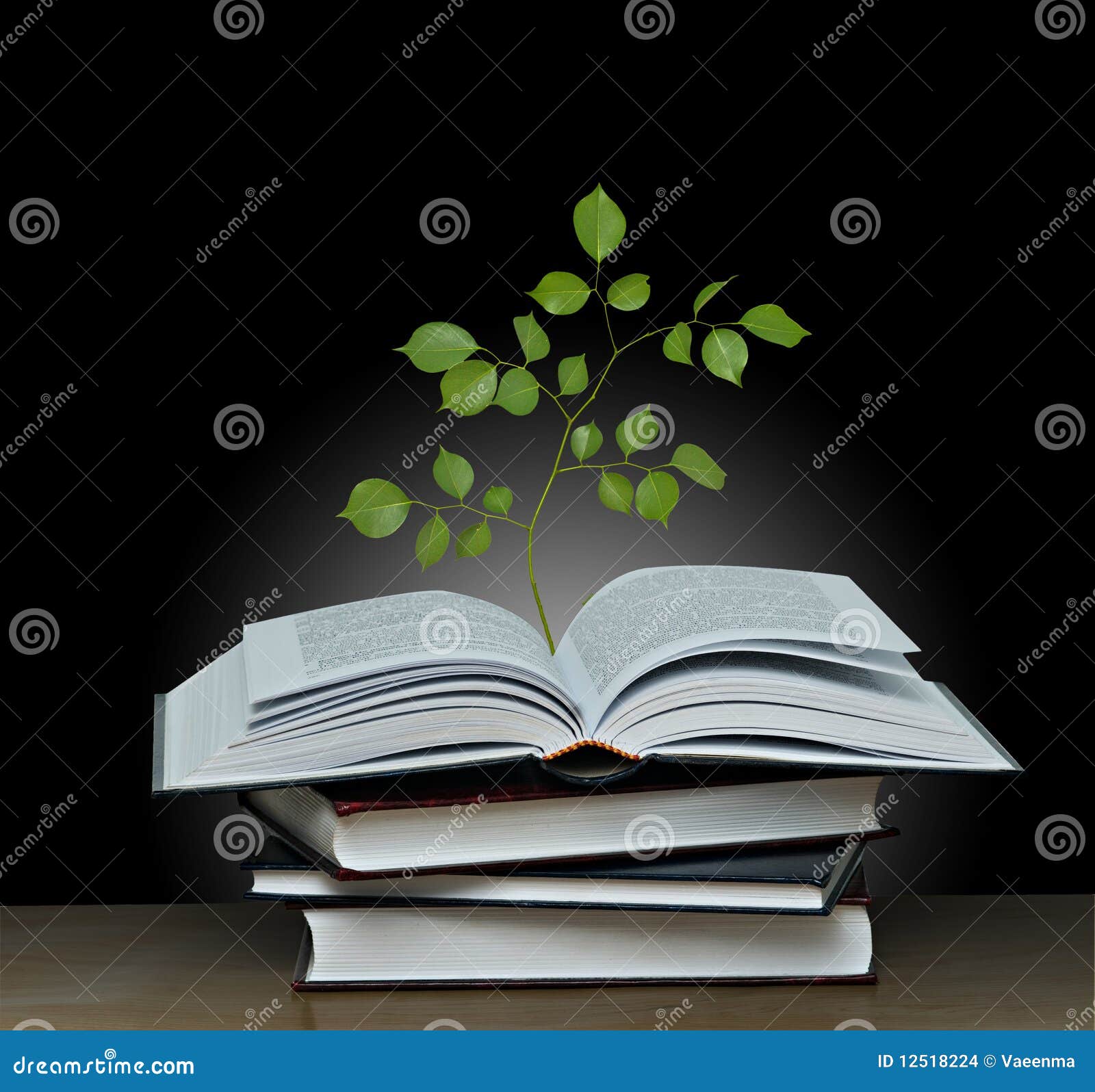 Tree Growing from Open Book Stock Photo - Image of education, tree ...