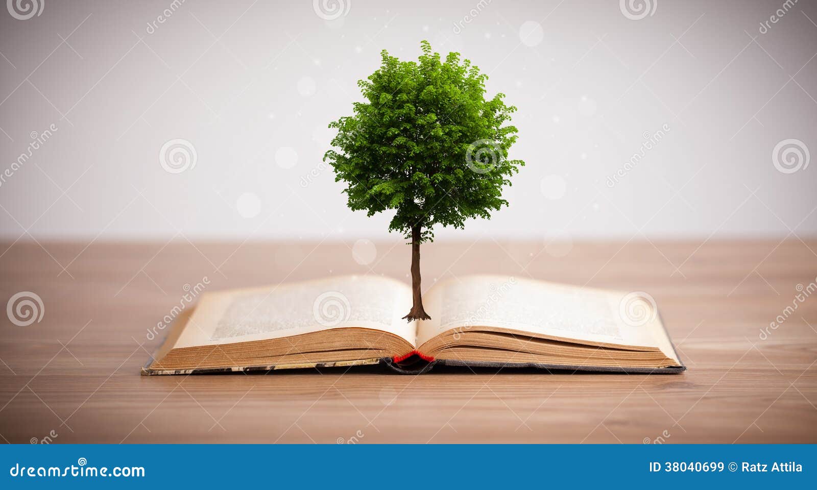 Tree Growing from an Open Book Stock Image - Image of dream, magical ...