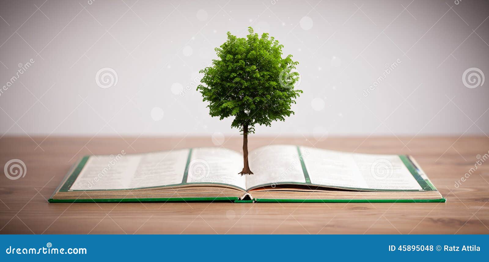 Tree Growing from an Open Book Stock Photo - Image of green, knowledge ...