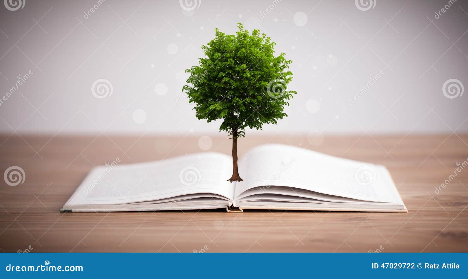 Tree Growing from an Open Book Stock Photo - Image of album, learning ...