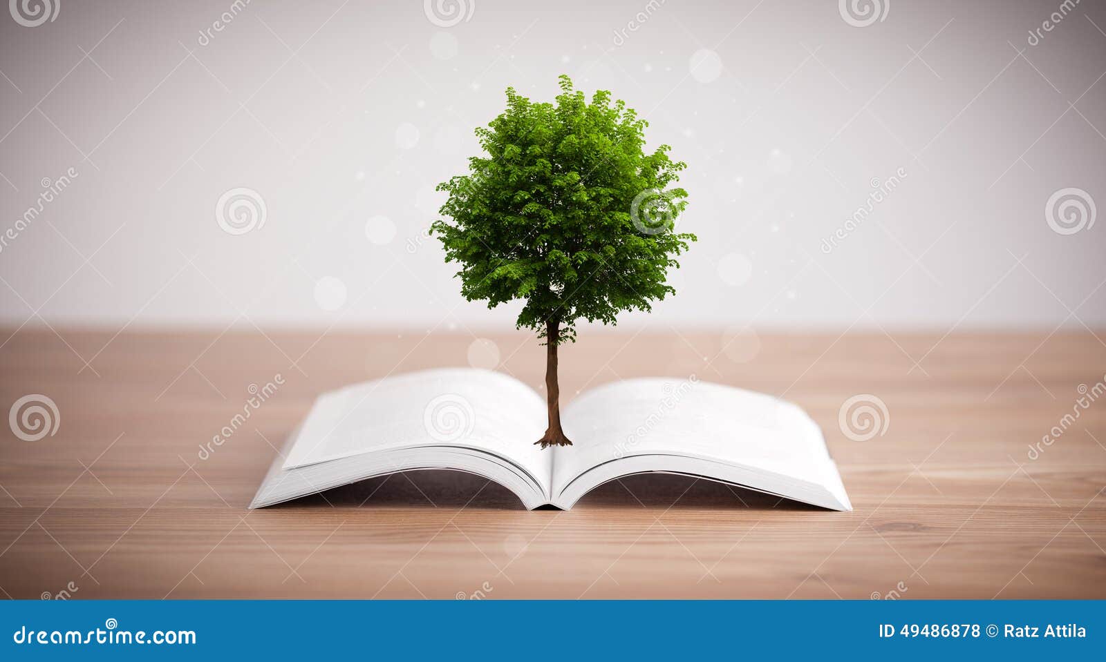 Tree Growing from an Open Book Stock Photo - Image of environment, book ...