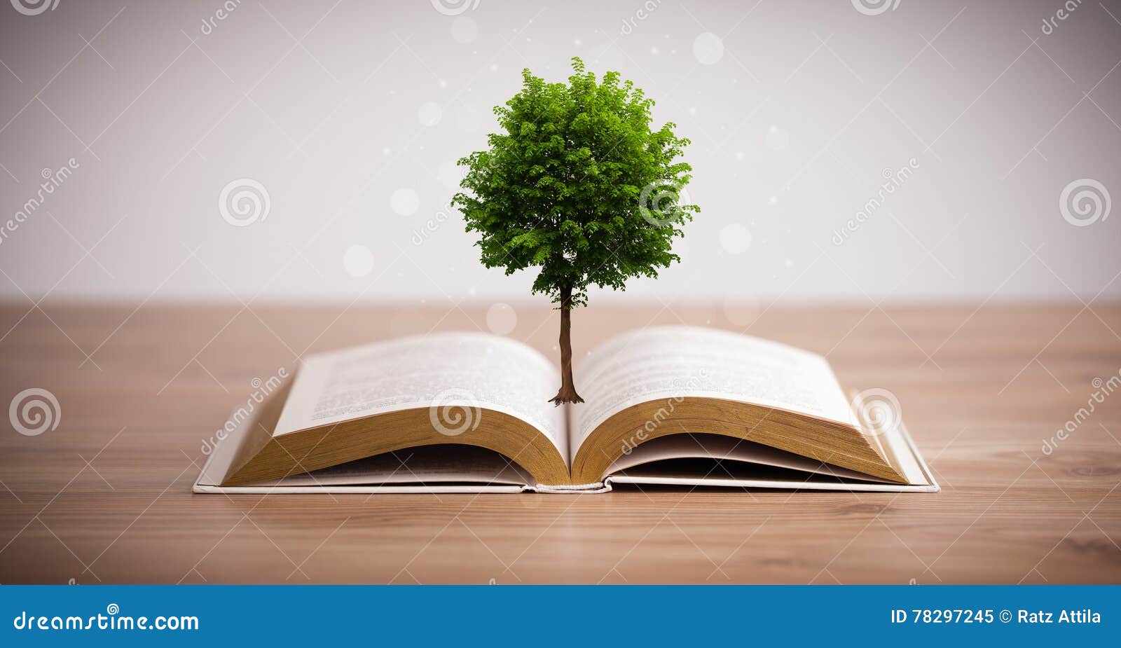 Tree Growing from an Open Book Stock Image - Image of literature, plant ...