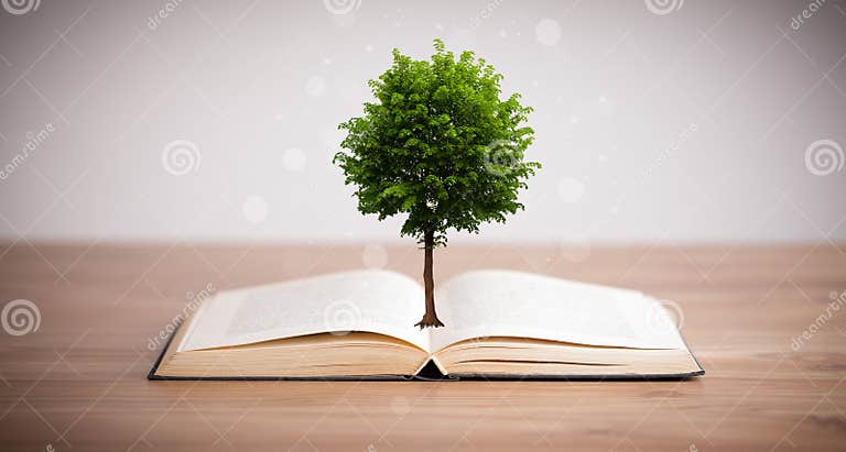 Tree Growing from an Open Book Stock Image - Image of imagination ...