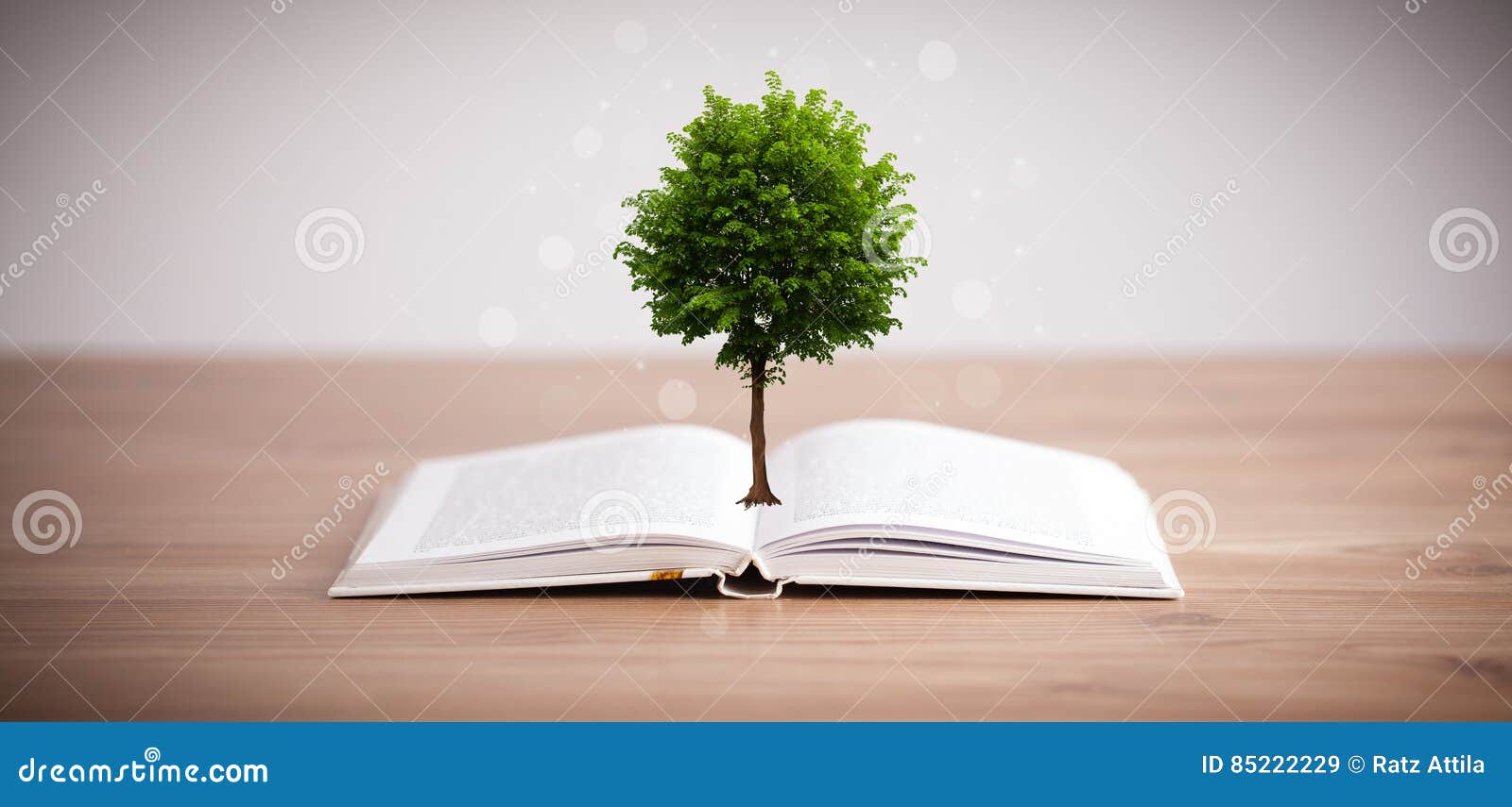 Tree Growing from an Open Book Stock Image - Image of field, education ...