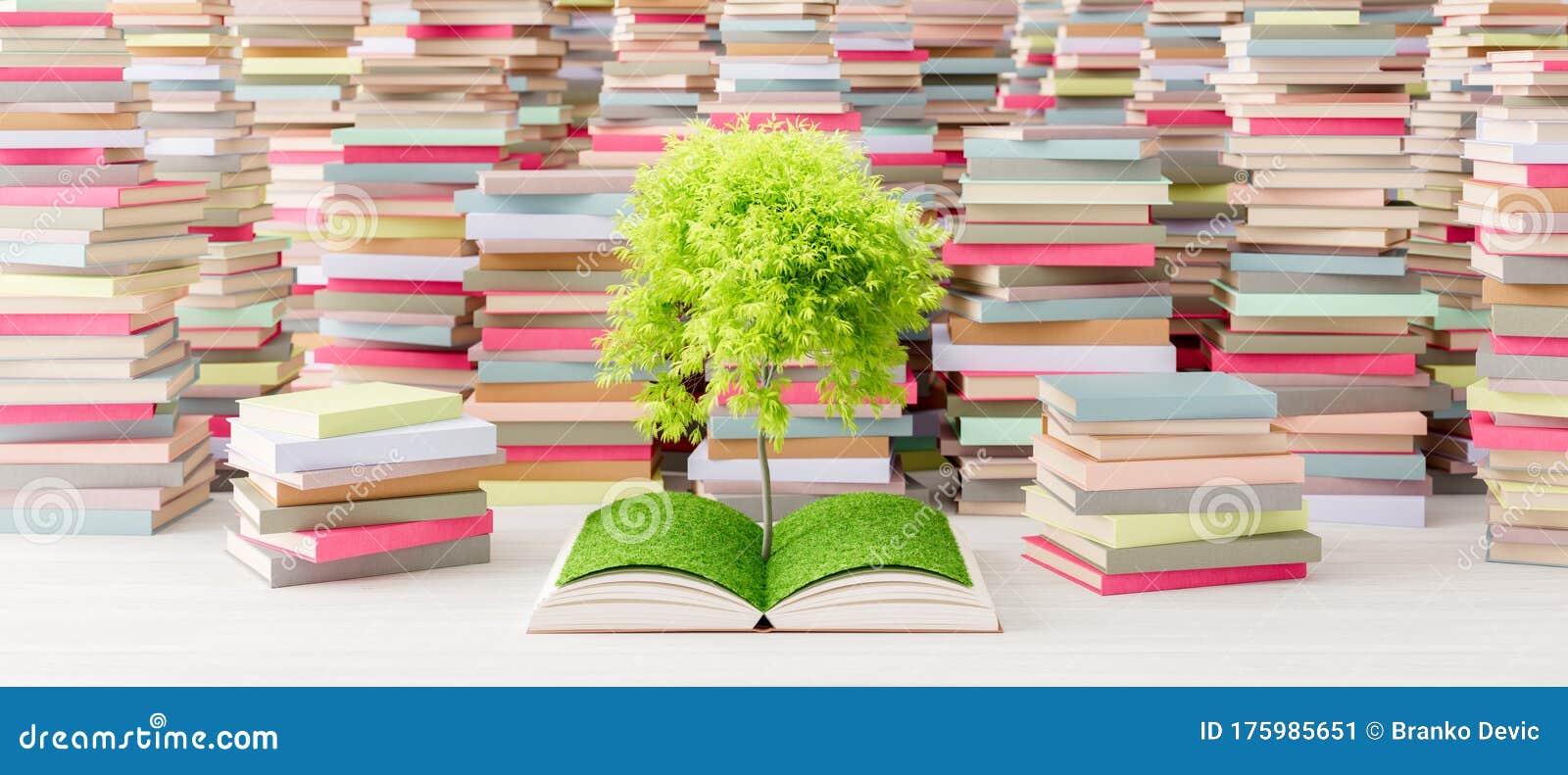 Tree Growing from Open Book in Library, Knowledge Concept 3d Render ...