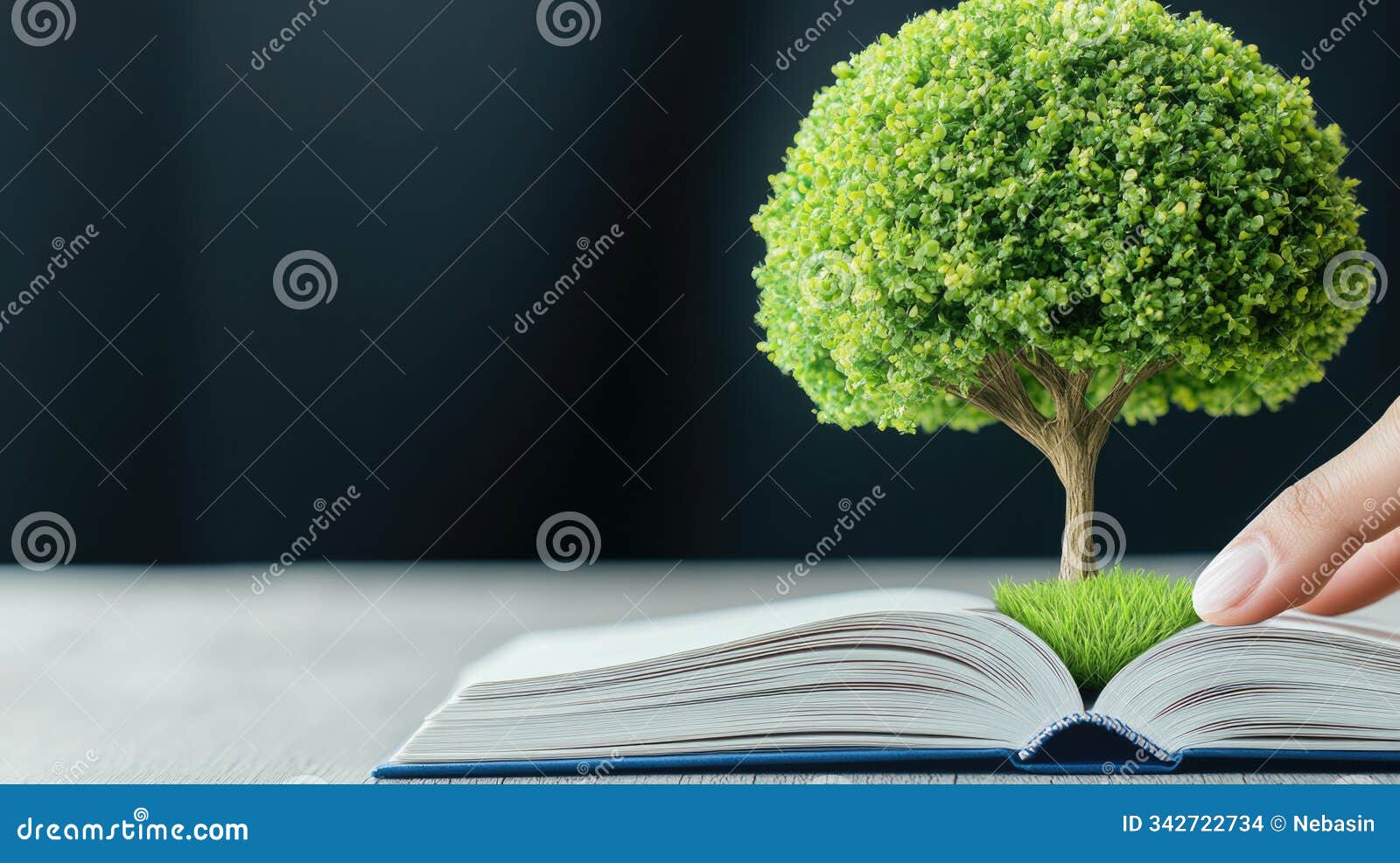 Tree Growing from Open Book Symbolizing Knowledge and Nature Connection ...