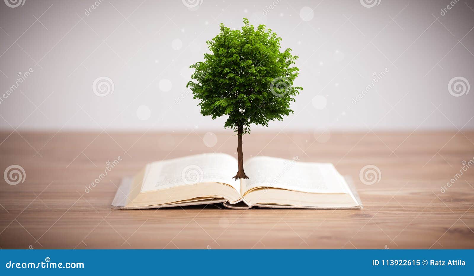 Tree Growing from an Open Book Stock Image - Image of concept, land ...