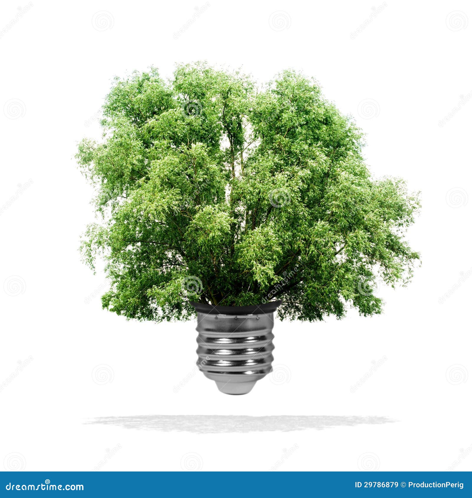 Tree Growing Out of Bulb - Green Energy Eco Concept Stock Image - Image ...