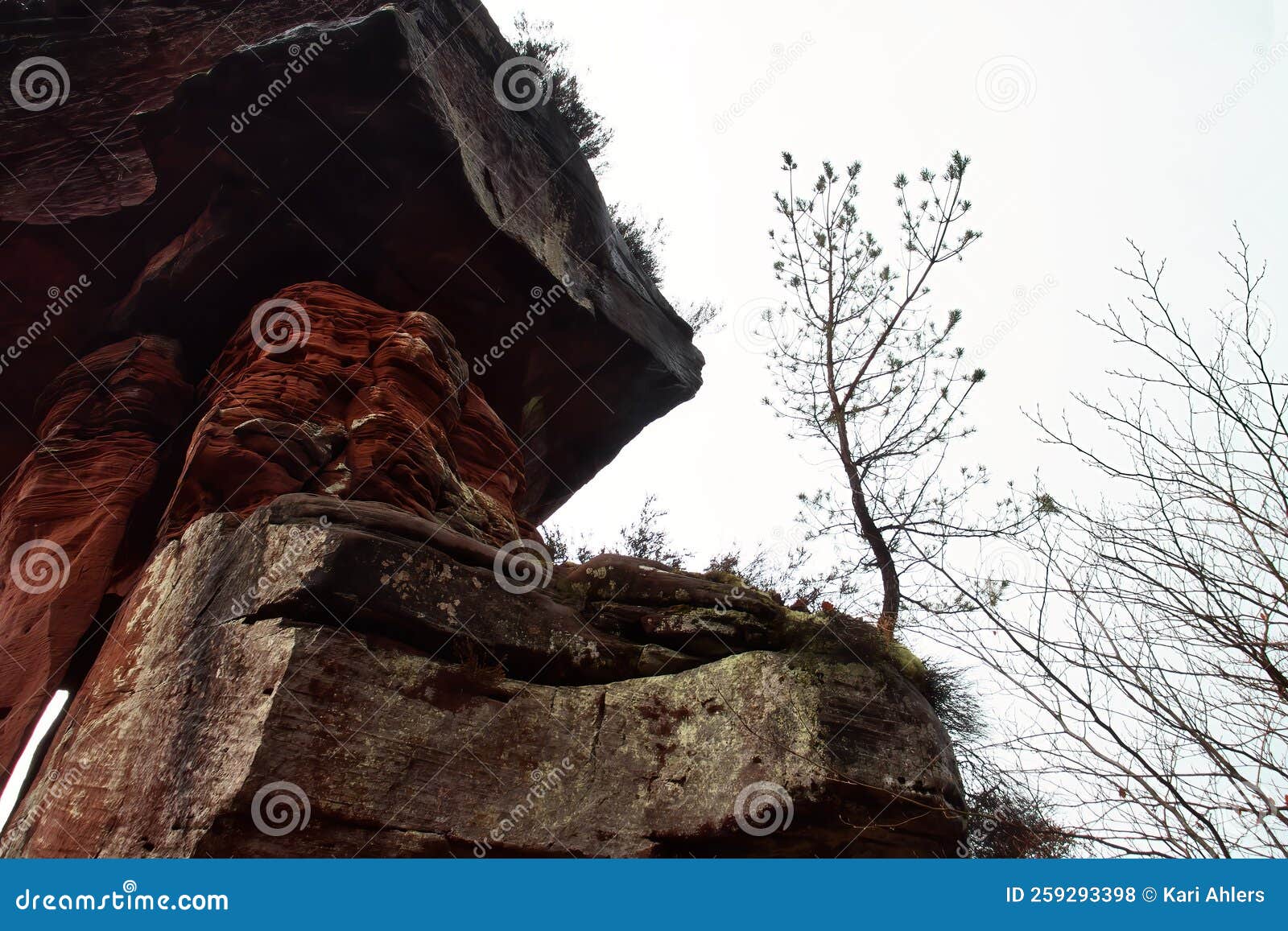 Tree Growing Out of a Rock Formation Stock Photo - Image of ...