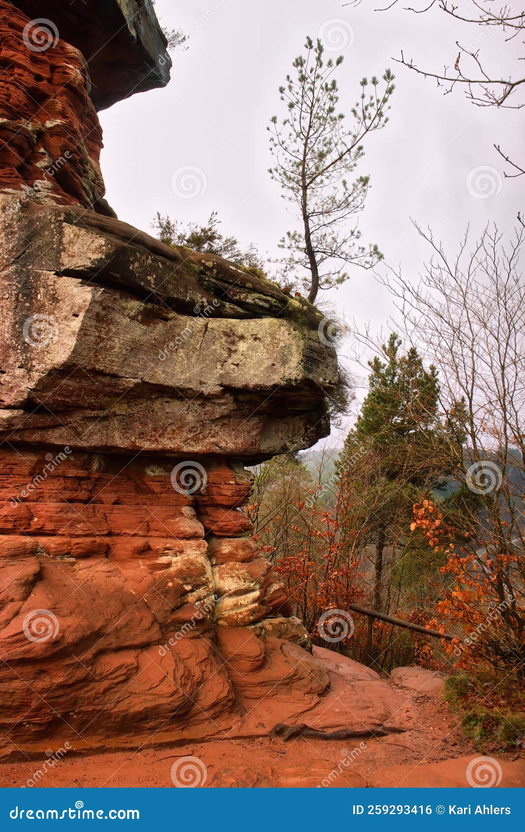 Tree Growing Out of Rock at a Landmark in Germany Stock Photo - Image ...